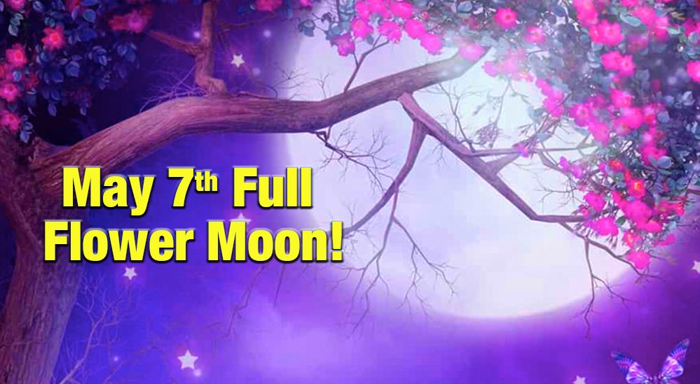 May 7 Full Flower Moon: The Supermoon that Makes Your Life Blossom!