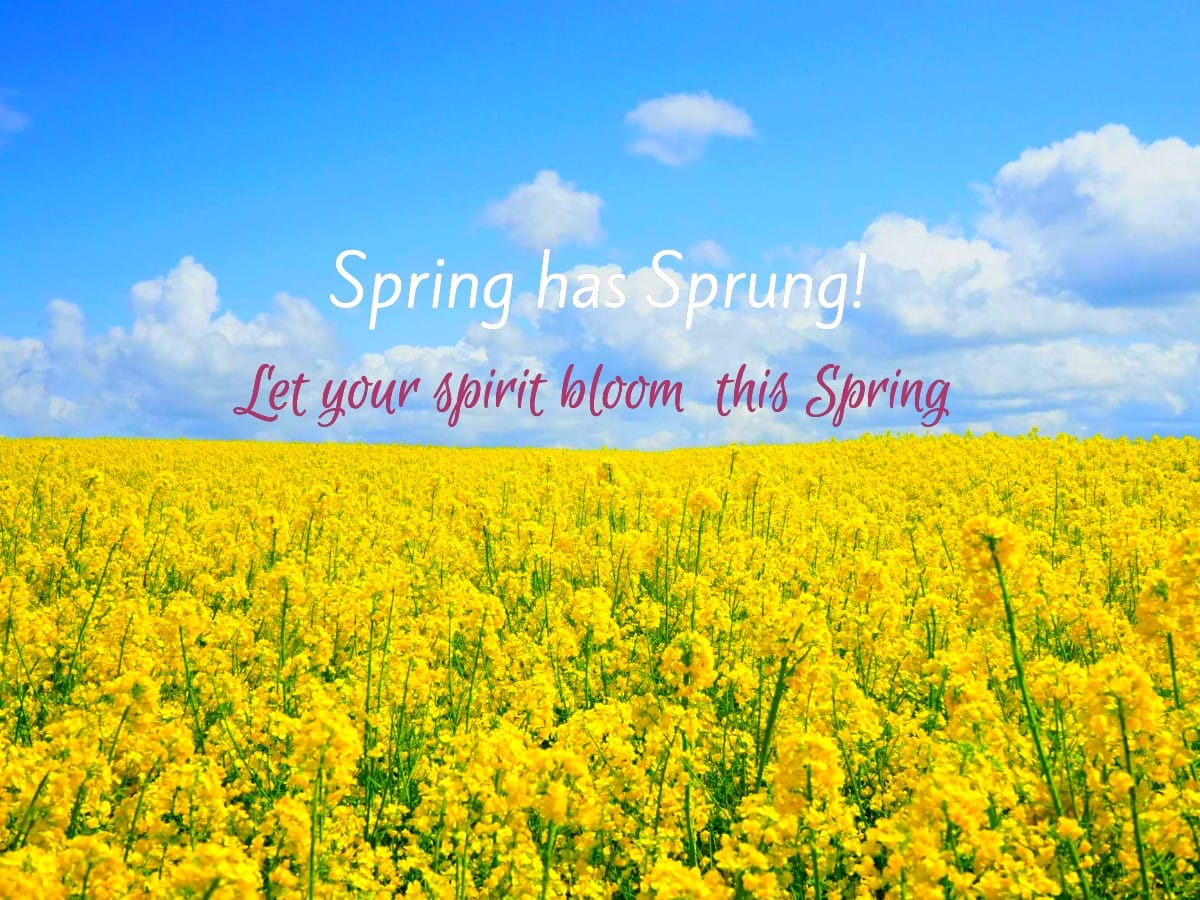 Spring's Awakening: A Spiritual Journey to Renewal