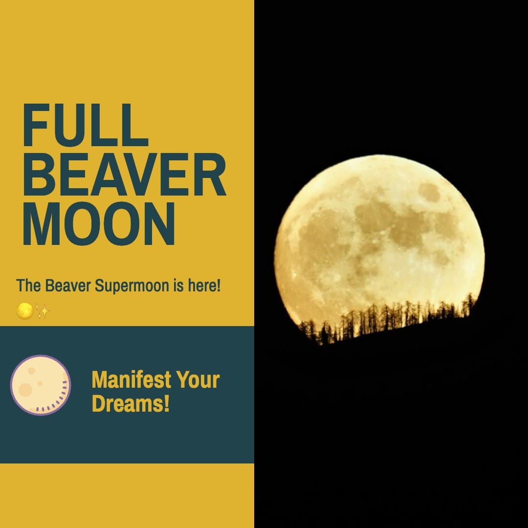 The Beaver Supermoon: Ground Your Dreams, Manifest Abundance