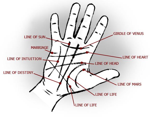 What Do the Lines on Your Palm Mean?
